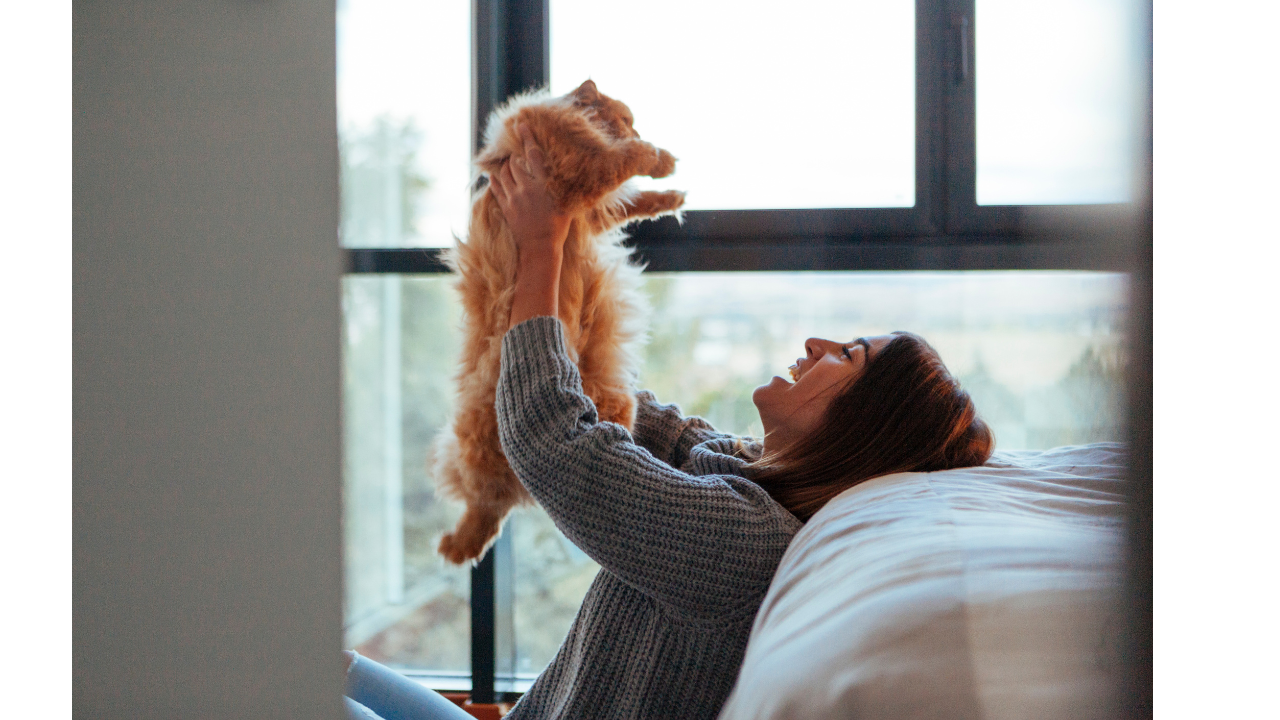 First Home Owner Grants: What You Need to Know and How to Apply